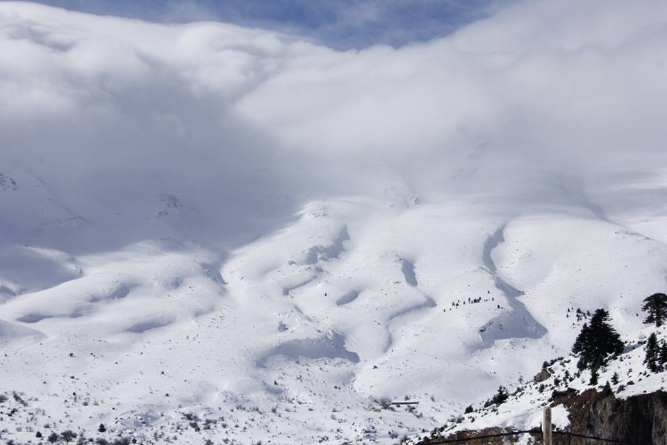ΑΡΑΧΩΒΑ - ΧΙΟΝΟΔΡΟΜΙΚΟ :: Χαλούλος Εκδρομές